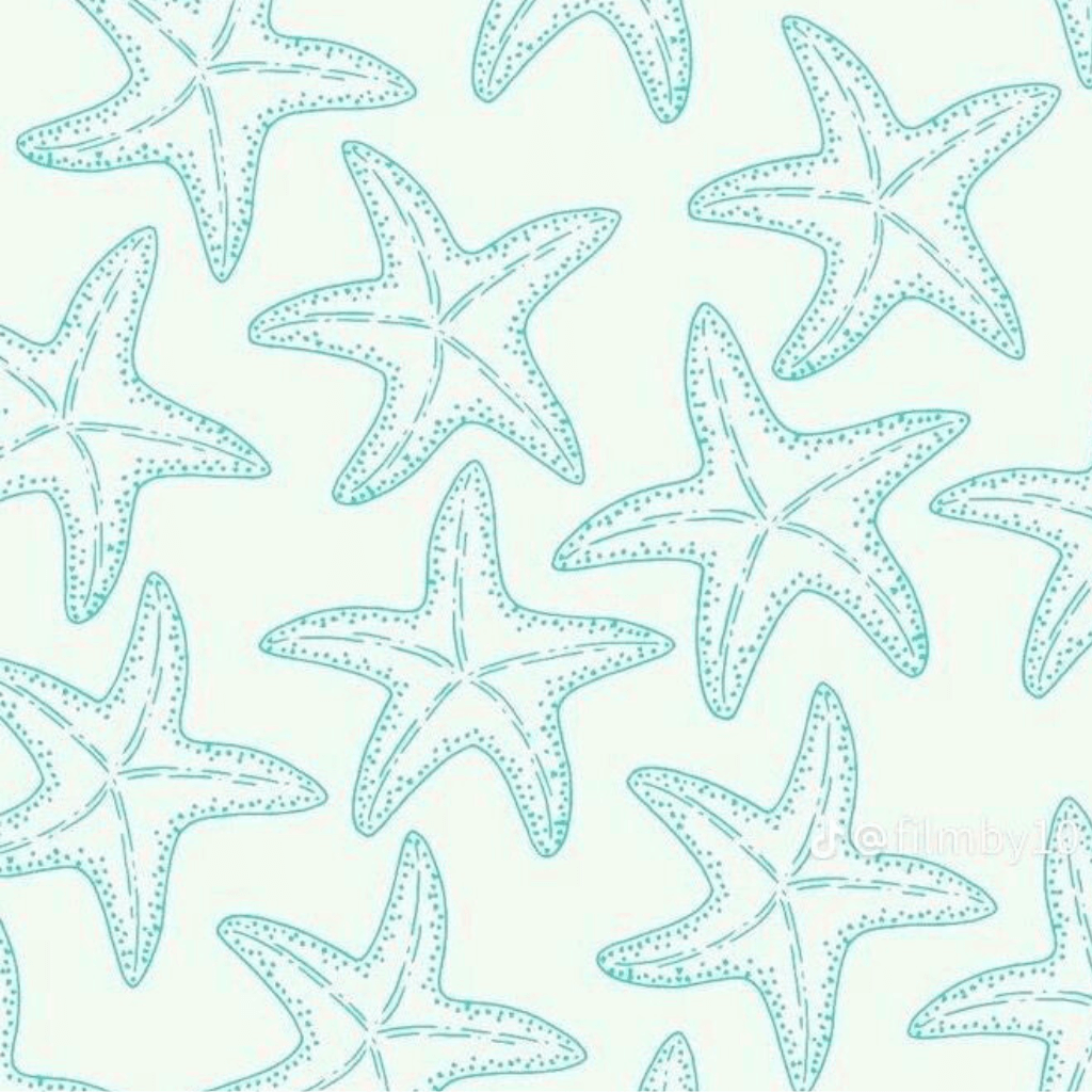 jj | Tesla Wrap Gallery